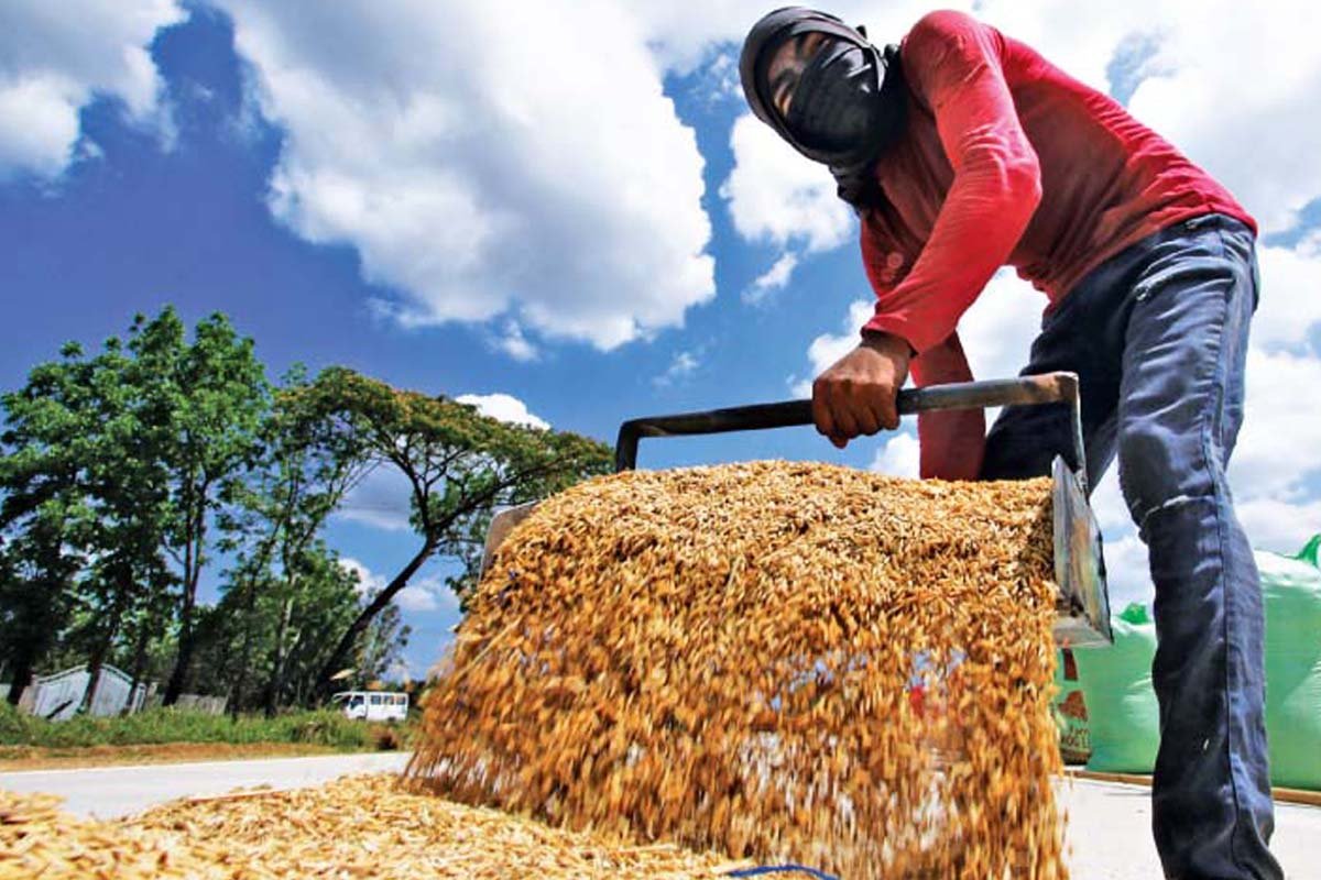 Tarlac Farmers To Benefit From DAR s Farm Business School Program