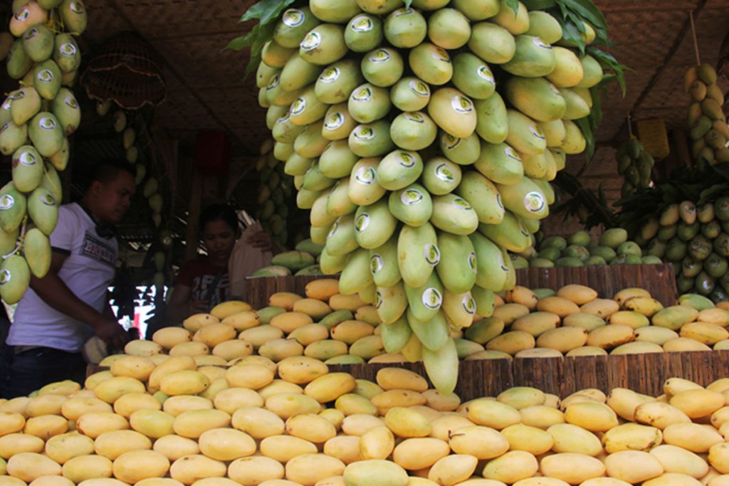 World Bank Funds Project to Boost Guimaras Mango Production