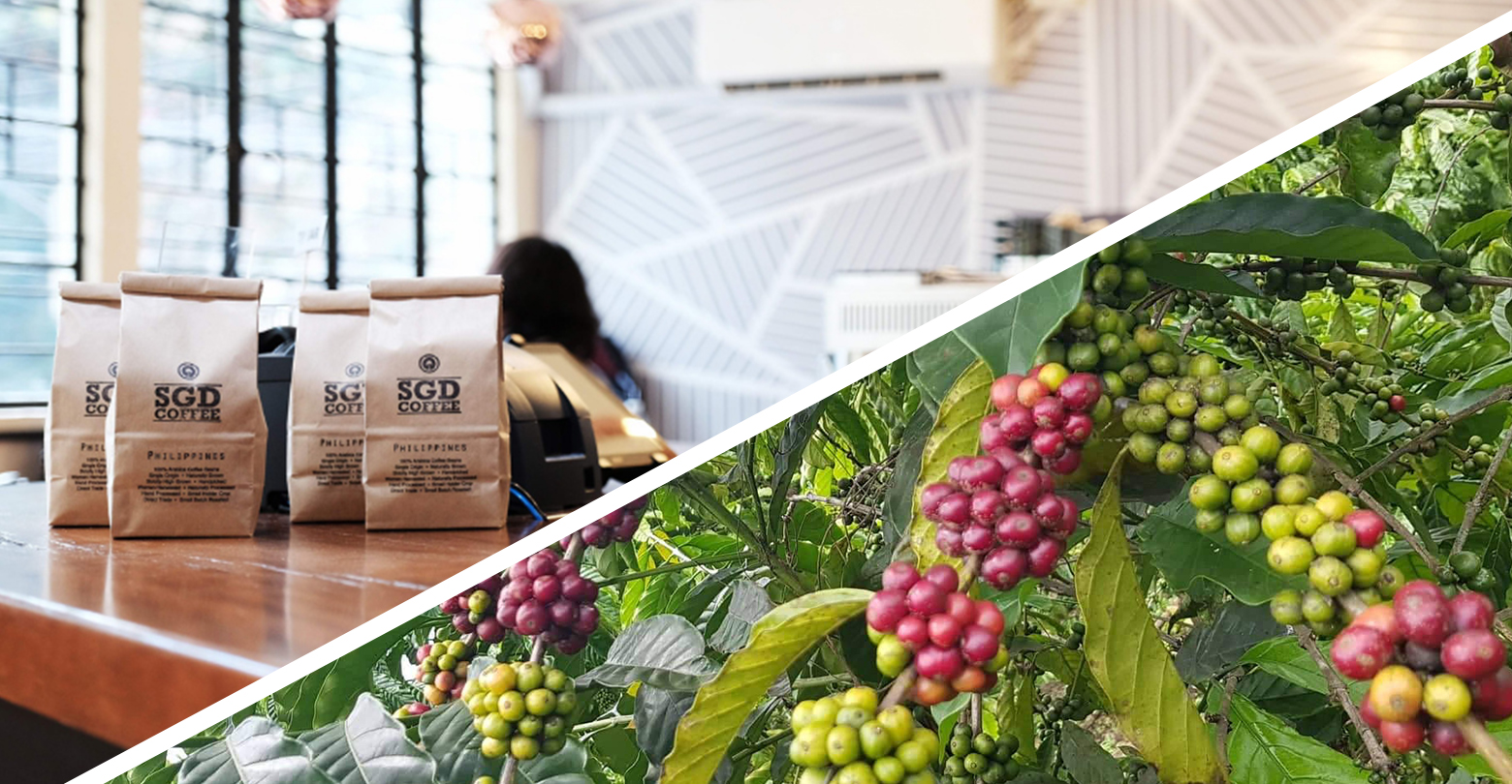 Bukidnon and SGD Coffee Take Home 2019 Awards in Milan for Coffee ...