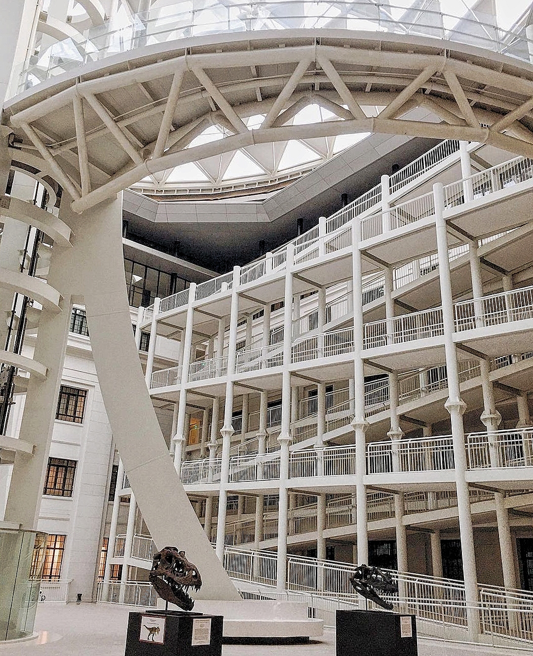 The National Museum of Natural History is open! - Flying Ketchup