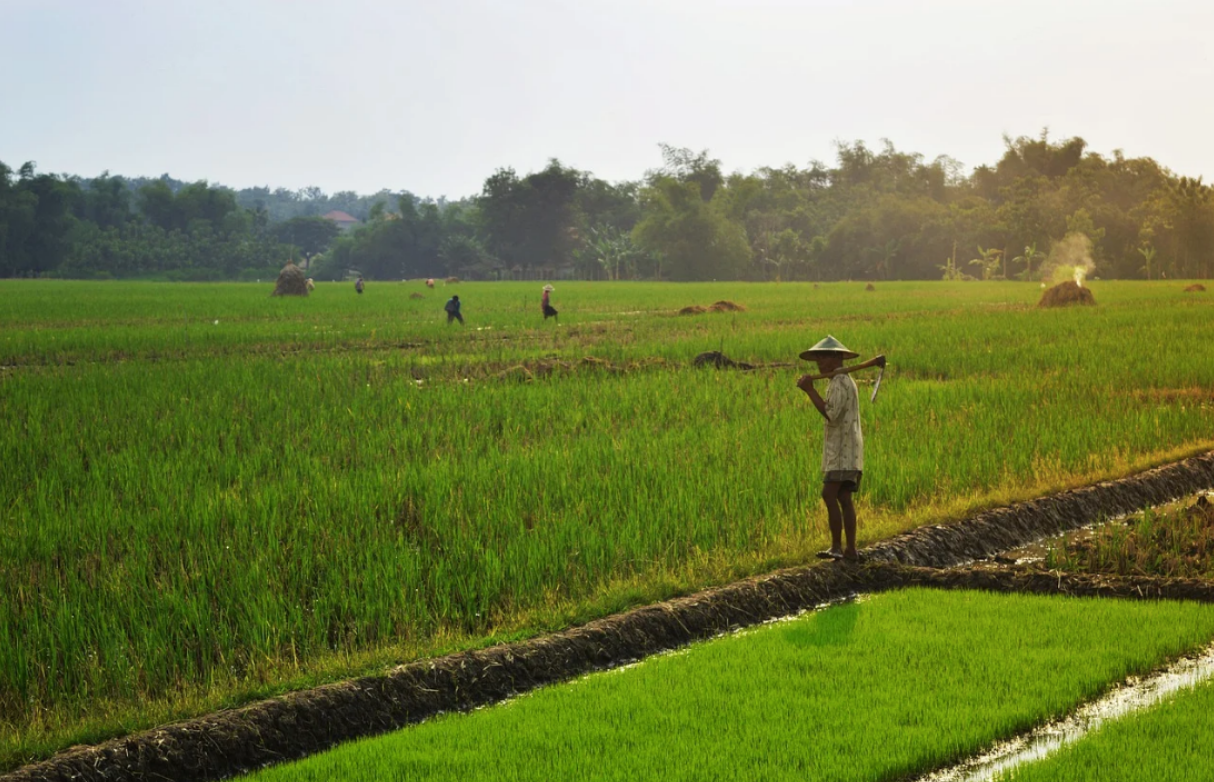 Food security vs food self-sufficiency - Fermin Adriano