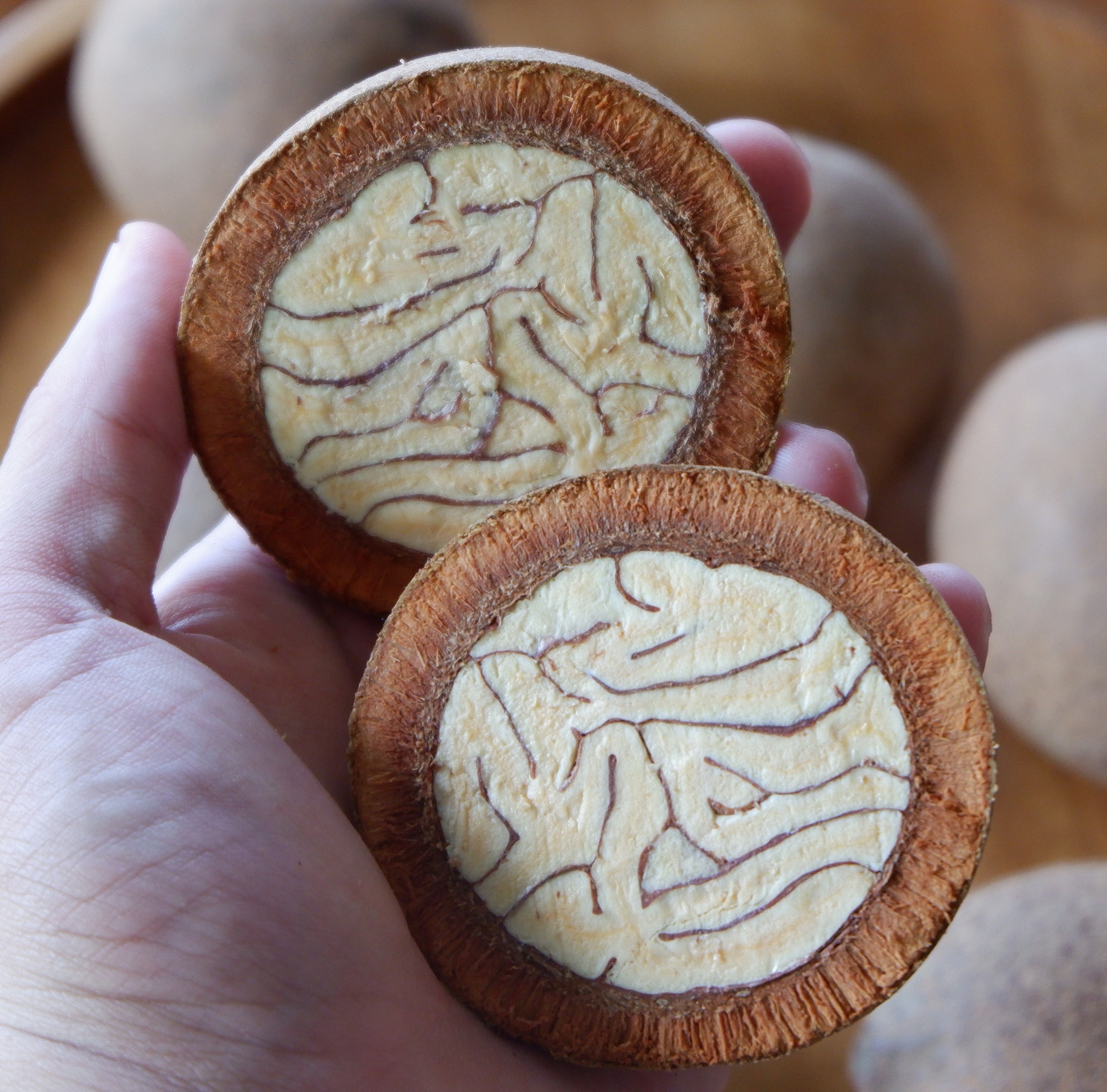 LOOK: 10 amazing rare Philippine fruits you should know! - Flying Ketchup