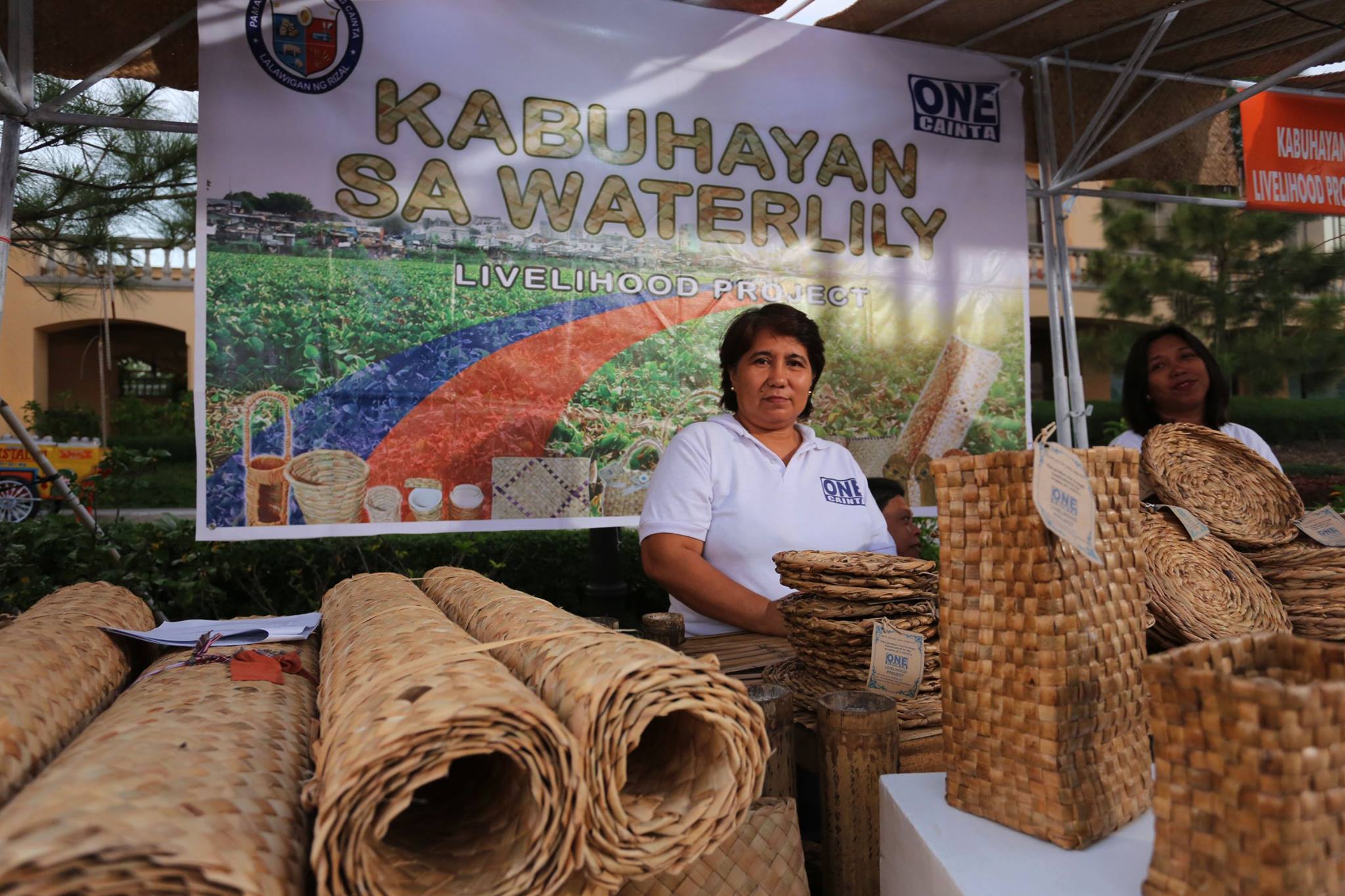 Senator Cynthia Villar: Her Impact on Filipina Women - Flying Ketchup