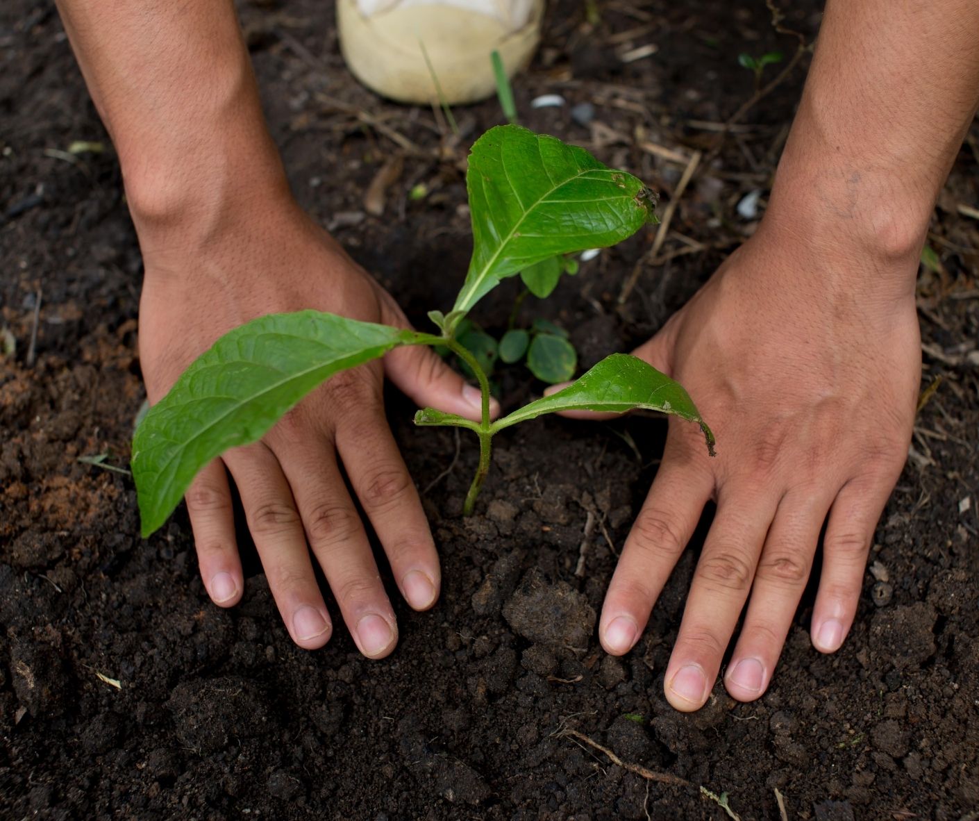 The Origins of Philippine Earth Day - Flying Ketchup