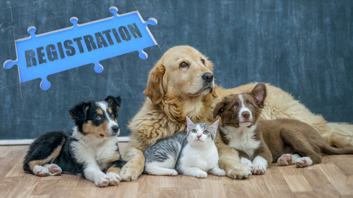 Mandatory Pet Registration in the Philippines: A Complete Guide ...